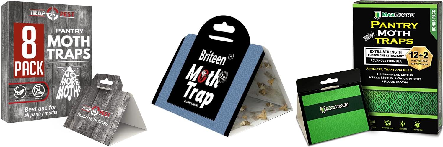 Best Pantry Moth Traps - Top 5 Picks & Review