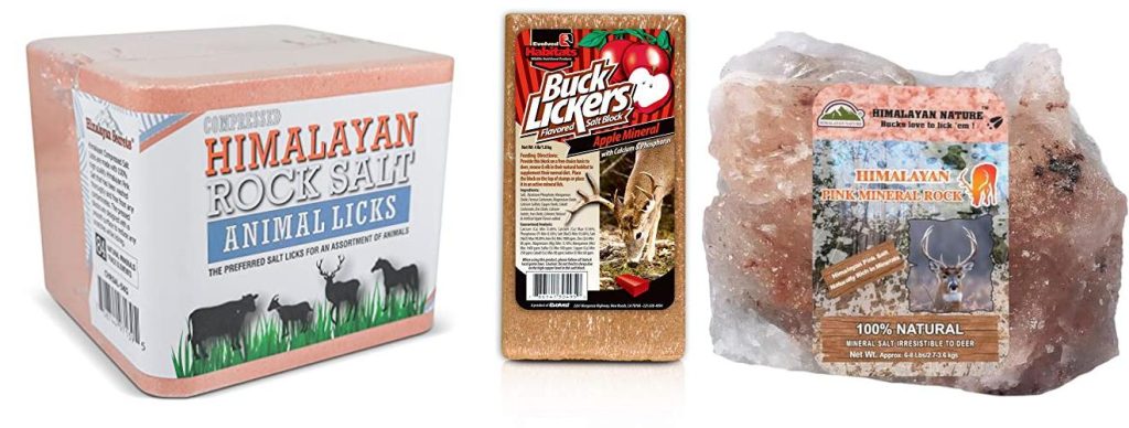 Top 5 Salt Blocks for Deer: Your Essential Guide