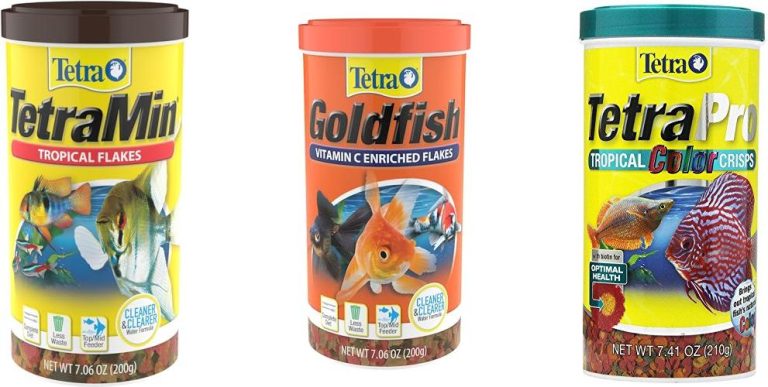 Best Flake Fish Food - Top 5 Picks & Review