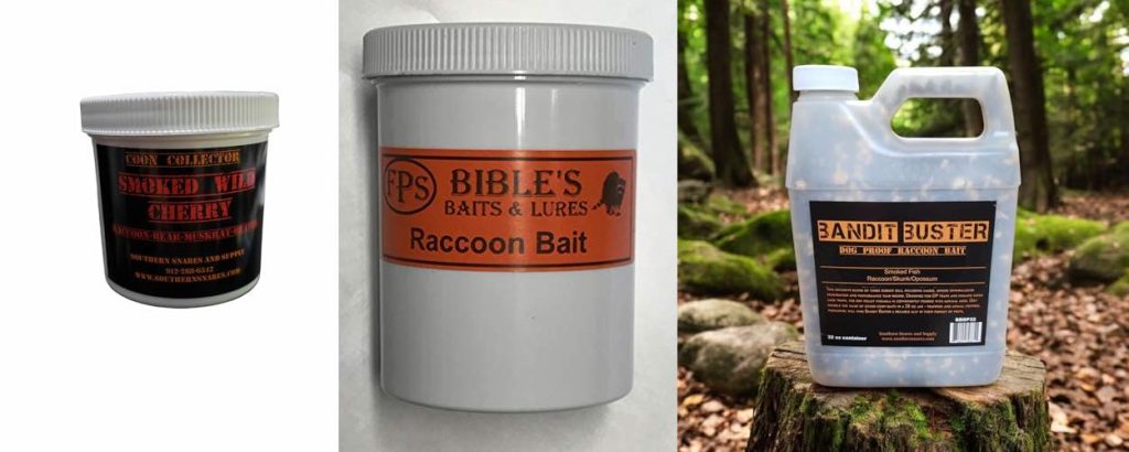 Best Raccoon Bait For Dog Proof Traps - Top 5 Picks & Review