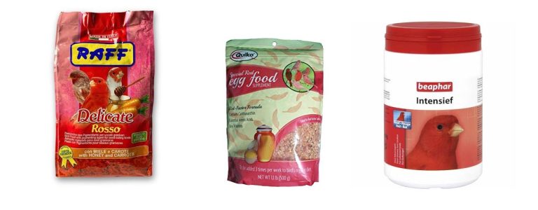 Top 5 Red Factor Canary Foods: A Buyer's Guide