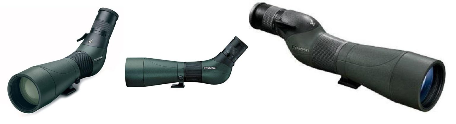 Top 5 Swarovski Spotting Scopes: Your Buyer's Guide